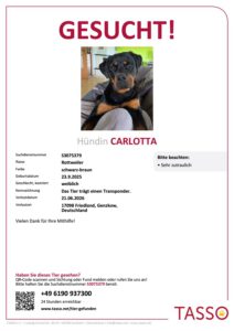 Rotti CARLOTTA in 17098 Genzkow vermisst!